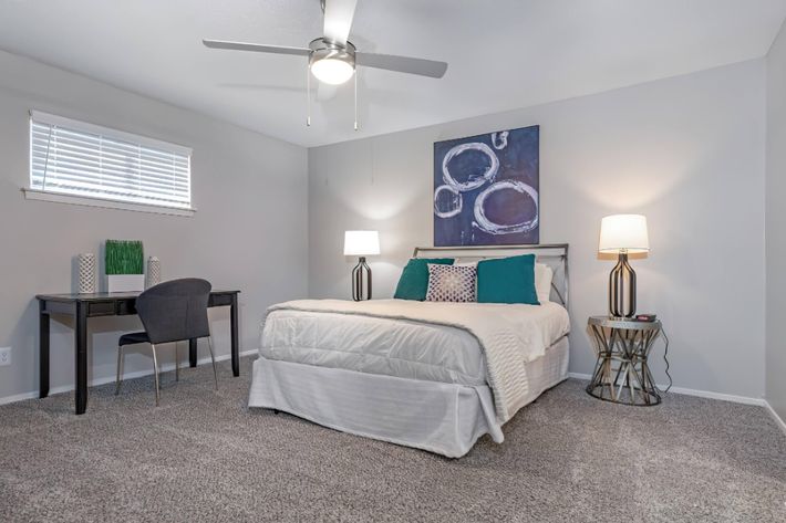 Tree Top Apartments - Photo Gallery