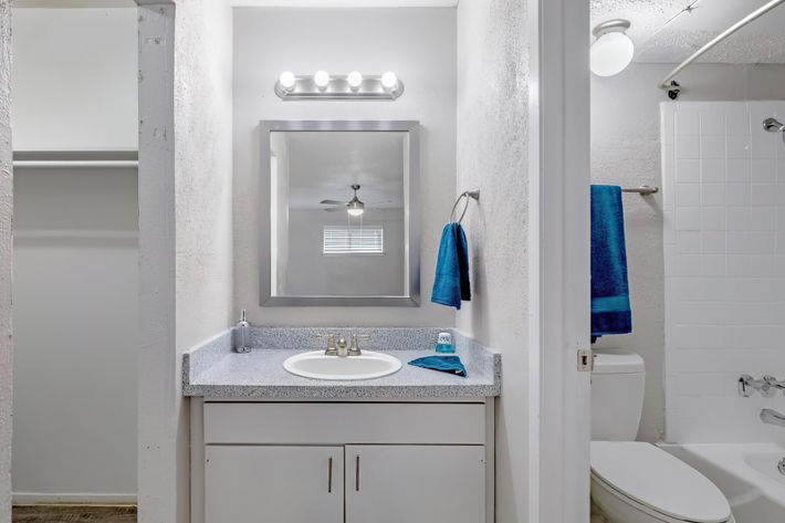 Tree Top Apartments - Photo Gallery